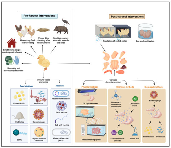 Microorganisms | Free Full-Text | Intervention Strategies to Control ...