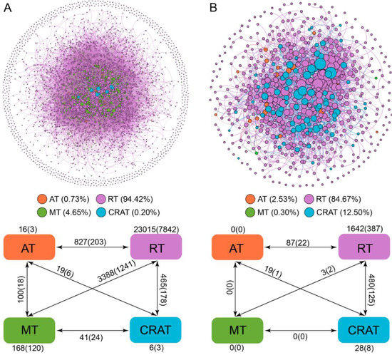 Biogeographic Pattern and Network of Rhizosphere Fungal and Bacterial ...