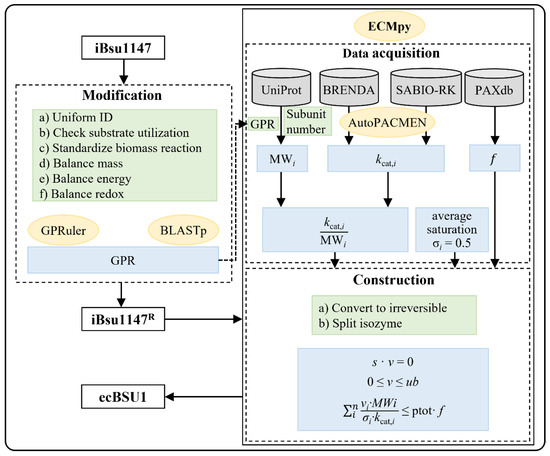 ecBSU1: A Genome-Scale Enzyme-Constrained Model of Bacillus subtilis Based on the ECMpy Workflow
