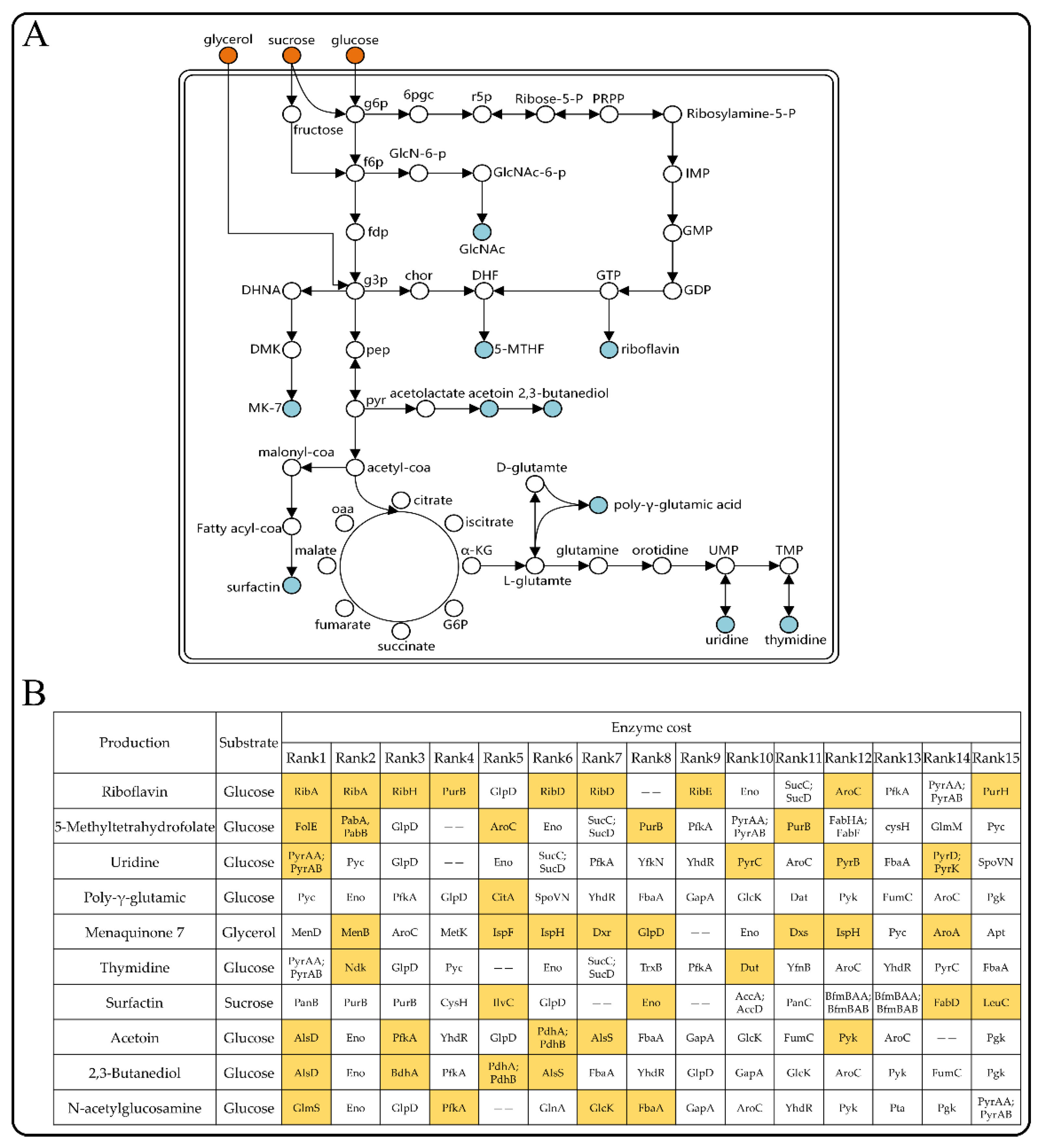 ecBSU1: A Genome-Scale Enzyme-Constrained Model of Bacillus subtilis Based on the ECMpy Workflow