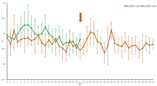 Duration of Immunity Induced after Vaccination of Cattle with a Live ...