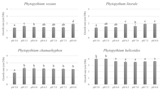 Characterization of Phytopythium Species Involved in the Establishment ...