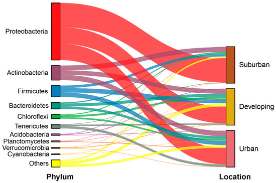 Urbanization Reduces Phyllosphere Microbial Network Complexity and Species Richness of Camphor Trees