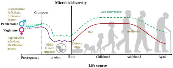 Beyond the Gut, Emerging Microbiome Areas of Research: A Focus on Early ...