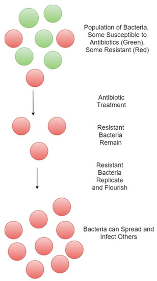 The Cell Wall, Cell Membrane and Virulence Factors of Staphylococcus aureus and Their Role in ...