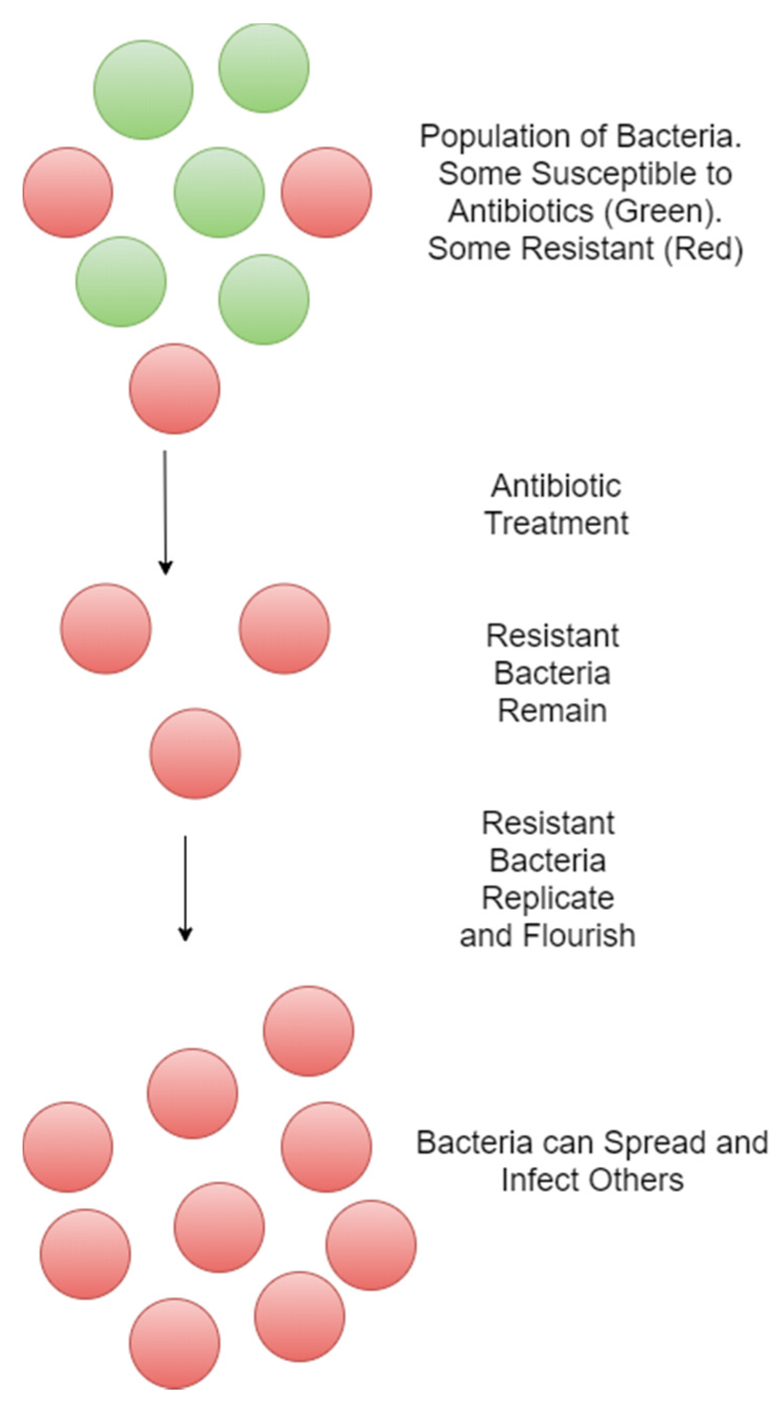 The Cell Wall, Cell Membrane and Virulence Factors of Staphylococcus ...