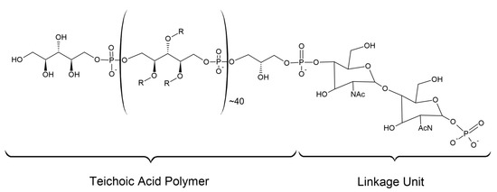 The Cell Wall, Cell Membrane and Virulence Factors of Staphylococcus ...