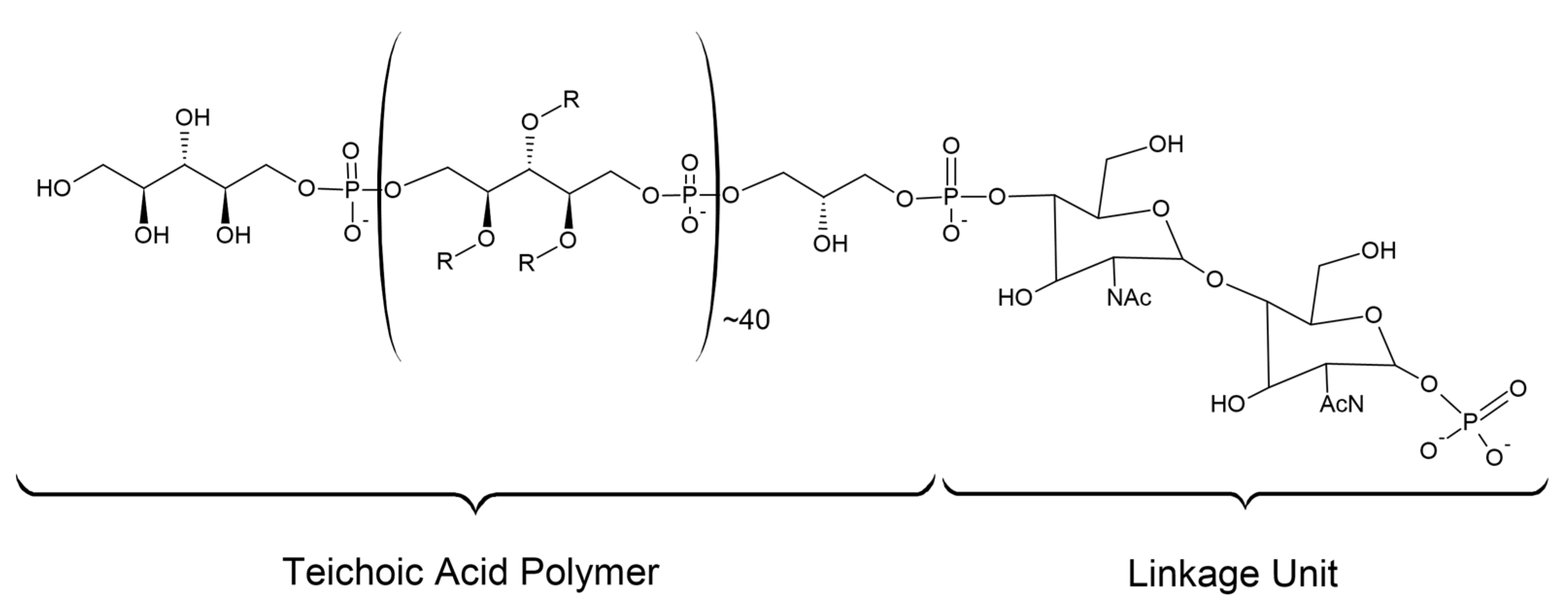 The Cell Wall, Cell Membrane and Virulence Factors of Staphylococcus ...
