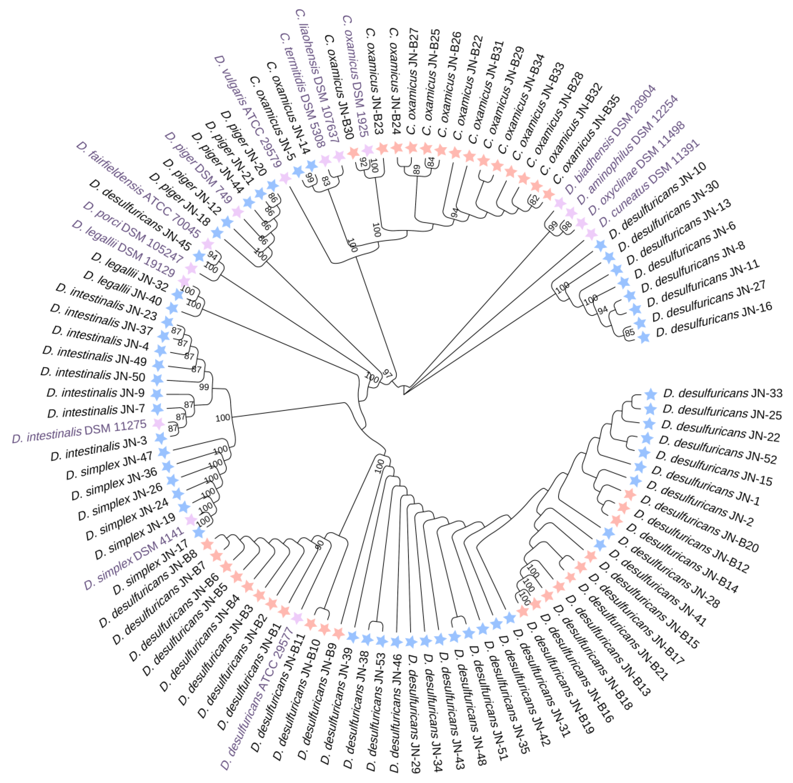 Microorganisms | Free Full-Text | Diversity and Comparison of ...