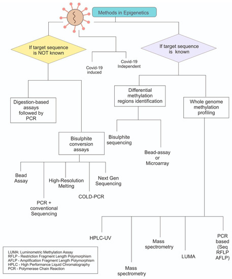 Epigenetic Targets and Pathways Linked to SARS-CoV-2 Infection and ...
