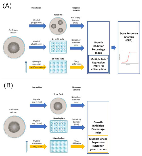 Microorganisms | Free Full-Text | Methods for Fungicide Efficacy ...