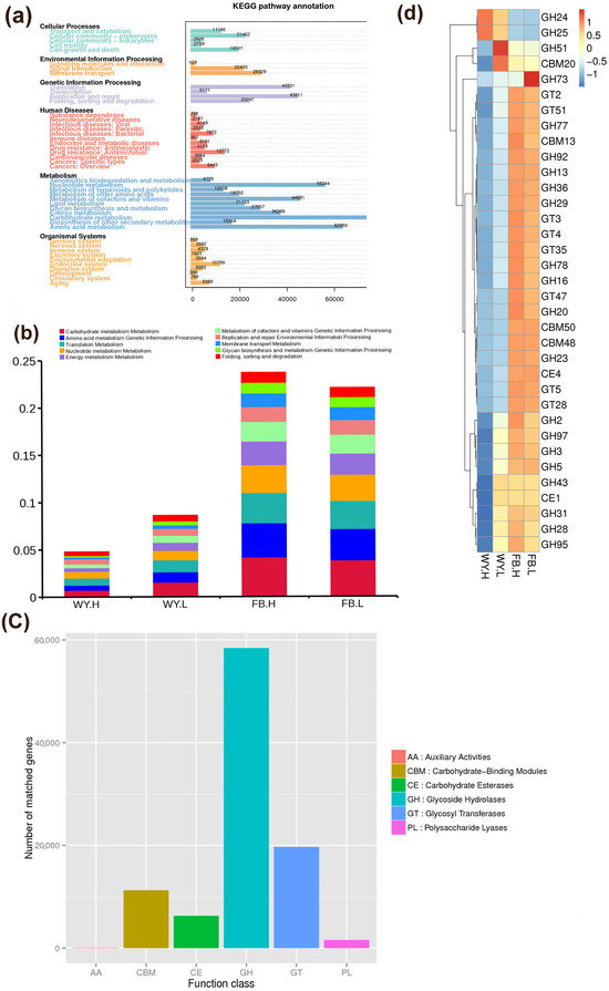 Microorganisms | Free Full-Text | Rumen and Fecal Microbiota ...
