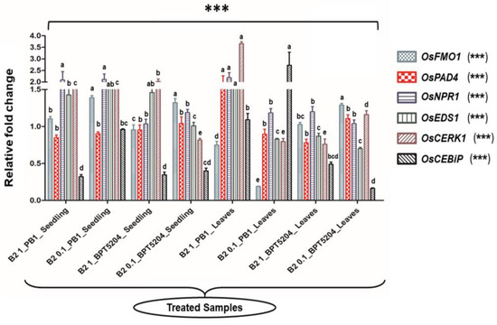Microorganisms | Free Full-Text | New Insights on Endophytic ...