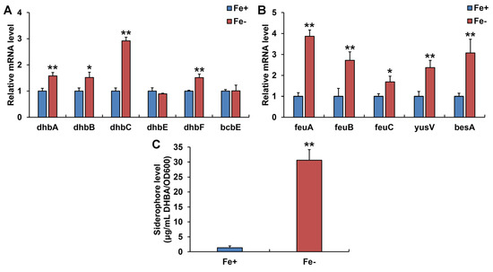 Comprehensive Genomics and Proteomics Analysis Reveals the Multiple ...