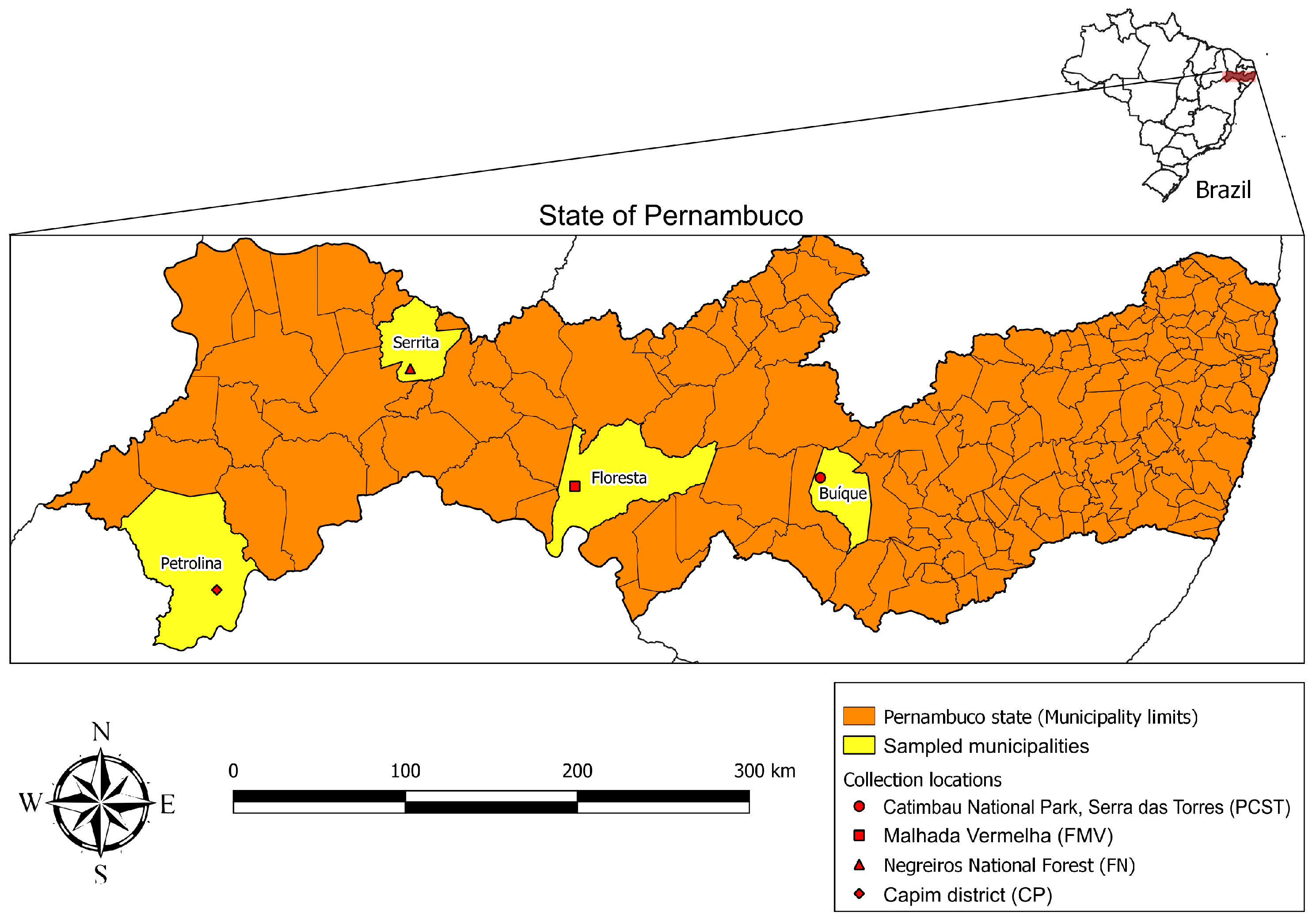 A Novel Relapsing Fever Group Borrelia Isolated from Ornithodoros Ticks ...