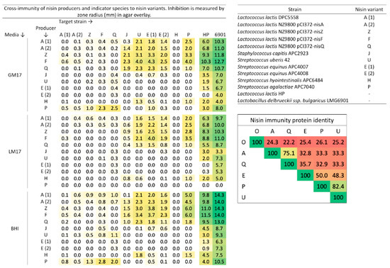Nisin E Is a Novel Nisin Variant Produced by Multiple Streptococcus ...