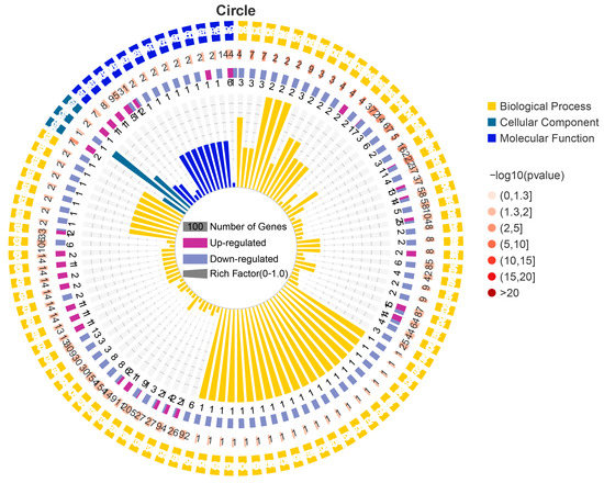 Microorganisms | Free Full-Text | Effect of Associated Bacteria GD1 on ...