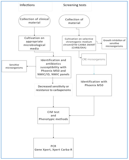 Colonization and Healthcare-Associated Infection of Carbapenem ...