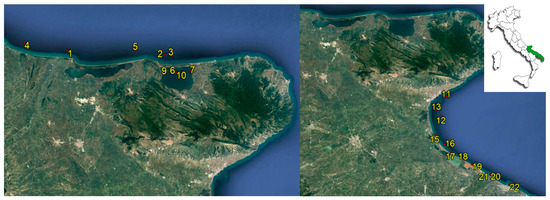 Microorganisms | Free Full-Text | Systematic Survey of Vibrio spp. and ...
