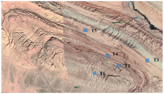 Bacterial Community Composition and Isolation of Actinobacteria from ...