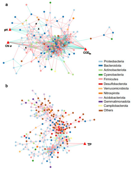 Determinants and Assembly Mechanism of Bacterial Community Structure in ...
