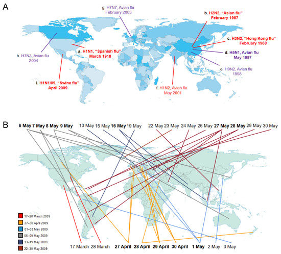 SARS-CoV-2 versus Influenza A Virus: Characteristics and Co-Treatments