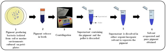 Bacterial Pigments and Their Multifaceted Roles in Contemporary ...