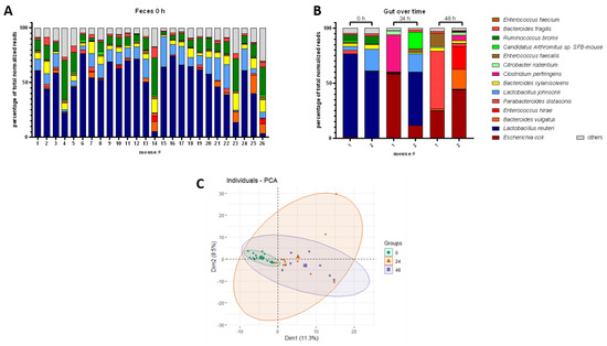 From Gut to Blood: Spatial and Temporal Pathobiome Dynamics during ...
