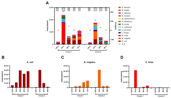 From Gut to Blood: Spatial and Temporal Pathobiome Dynamics during ...