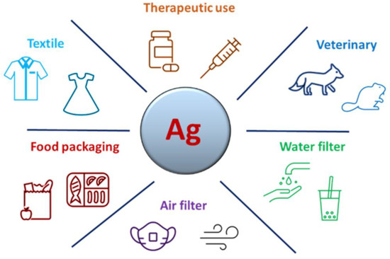 Silver Nanoparticles: Review of Antiviral Properties, Mechanism of ...