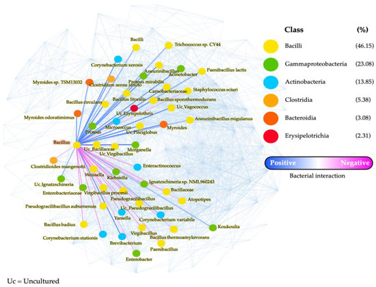 Microorganisms | Free Full-Text | Bacterial Communities in Lanna ...