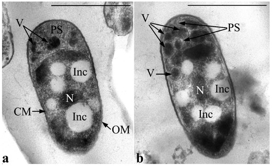 Microorganisms | Free Full-Text | Characterization of a New Pseudomonas ...