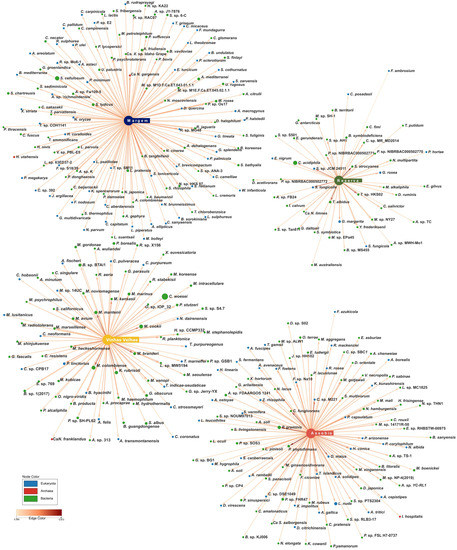 A New Perspective for Vineyard Terroir Identity: Looking for Microbial ...