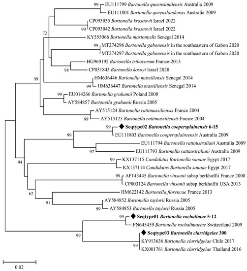 Identification of Vietnamese Flea Species and Their Associated ...
