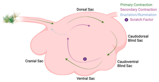 Rumen Biogeographical Regions and Microbiome Variation