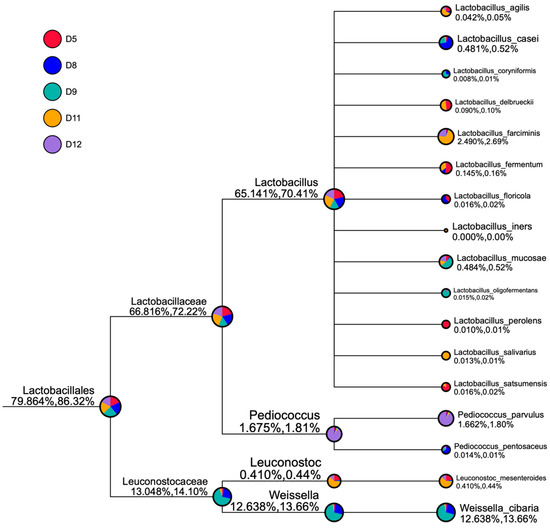16S-rRNA-Based Metagenomic Profiling of the Bacterial Communities in ...