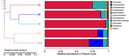16S-rRNA-Based Metagenomic Profiling of the Bacterial Communities in ...