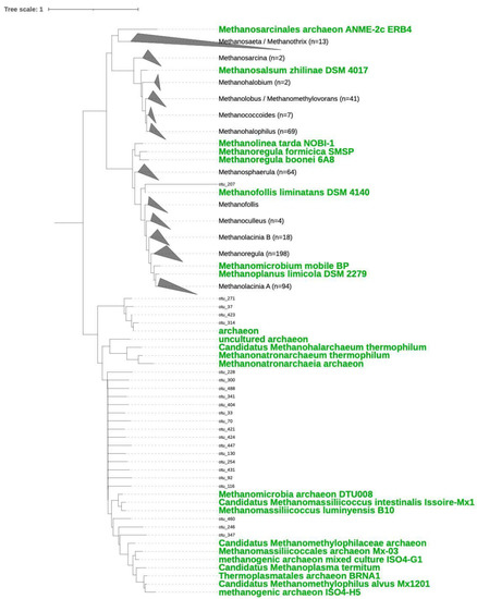 Revisiting Microbial Diversity in Hypersaline Microbial Mats from Guerrero Negro for a Better ...
