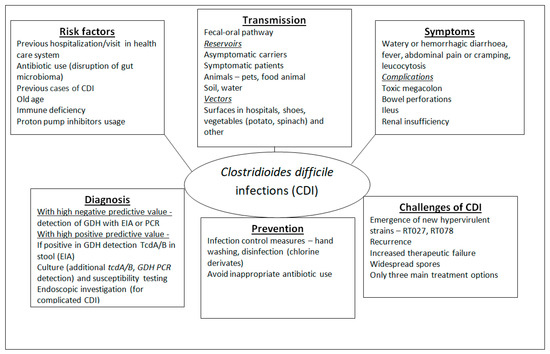 Clostridioides difficile, a New “Superbug”