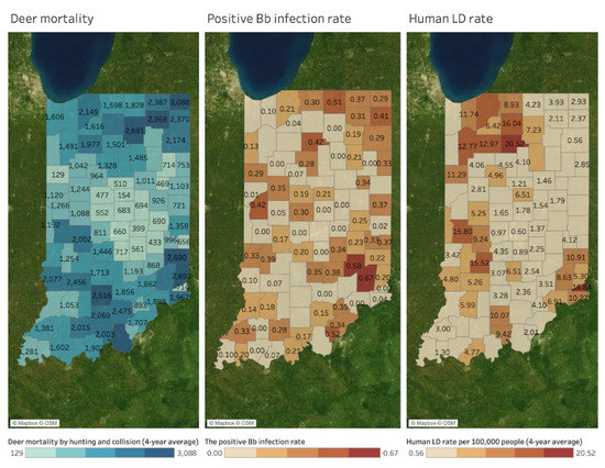 Microorganisms | Free Full-Text | Understanding Habitats and ...