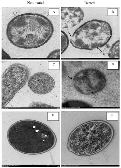Antimicrobial Mechanism of Salt/Acid Solution on Microorganisms ...
