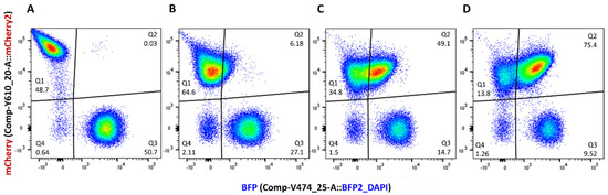 A Streamlined Approach for Fluorescence Labelling of Low-Copy-Number ...