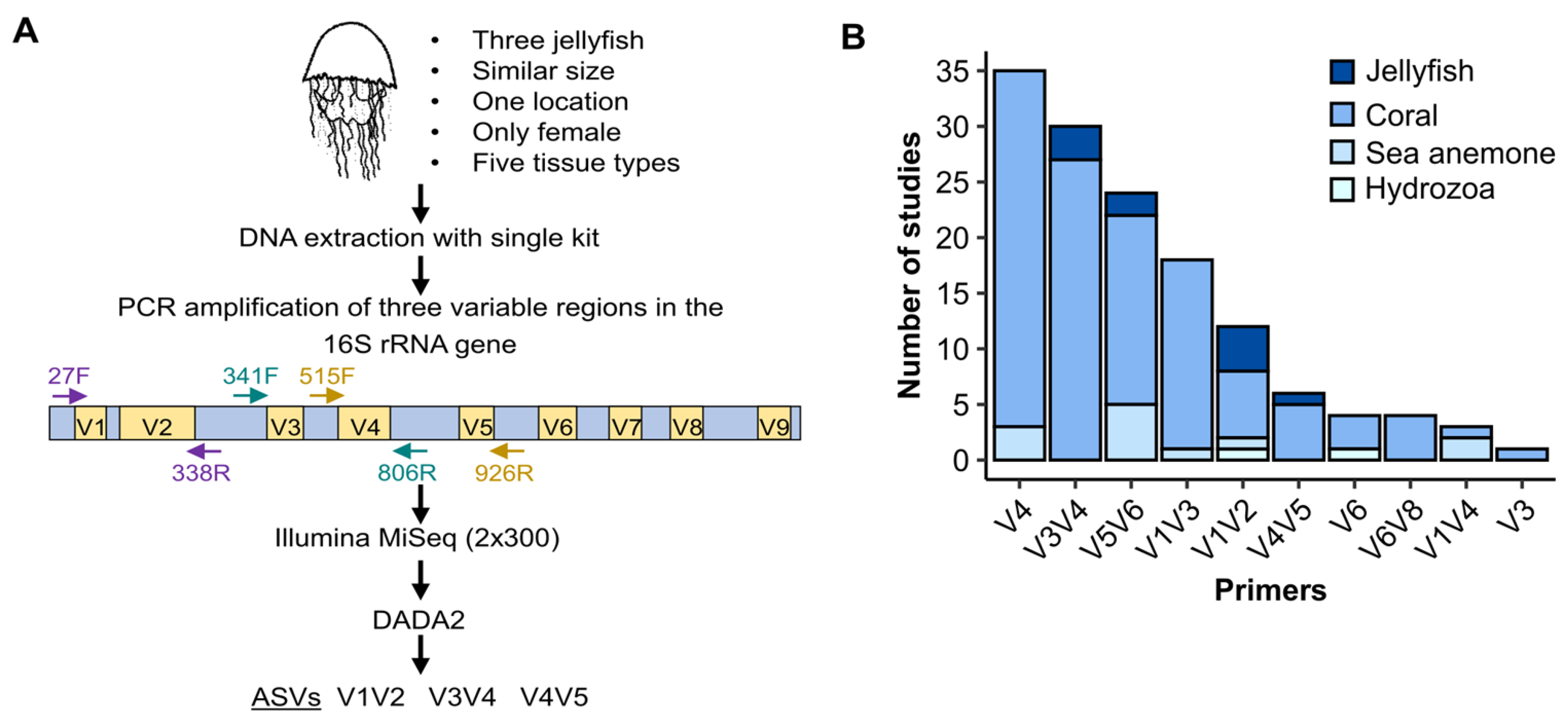 Microorganisms Free Full Text Selecting 16s Rrna Primers For