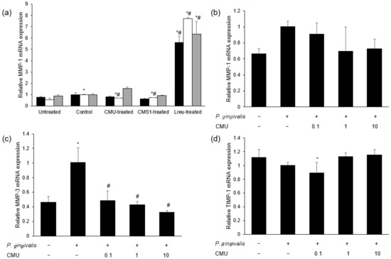 In Vitro Preventive Effect and Mechanism of Action of Weissella cibaria ...