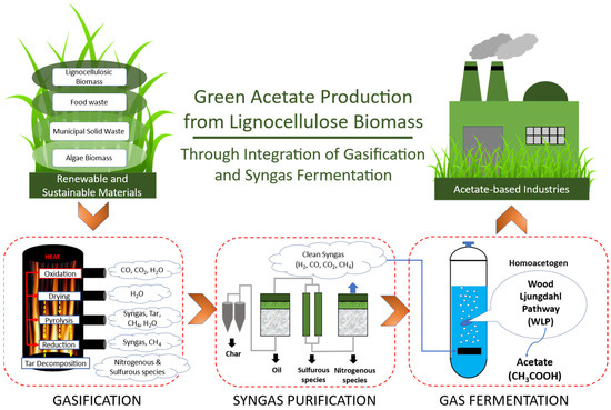 Acetate Production from Syngas Produced from Lignocellulosic Biomass ...