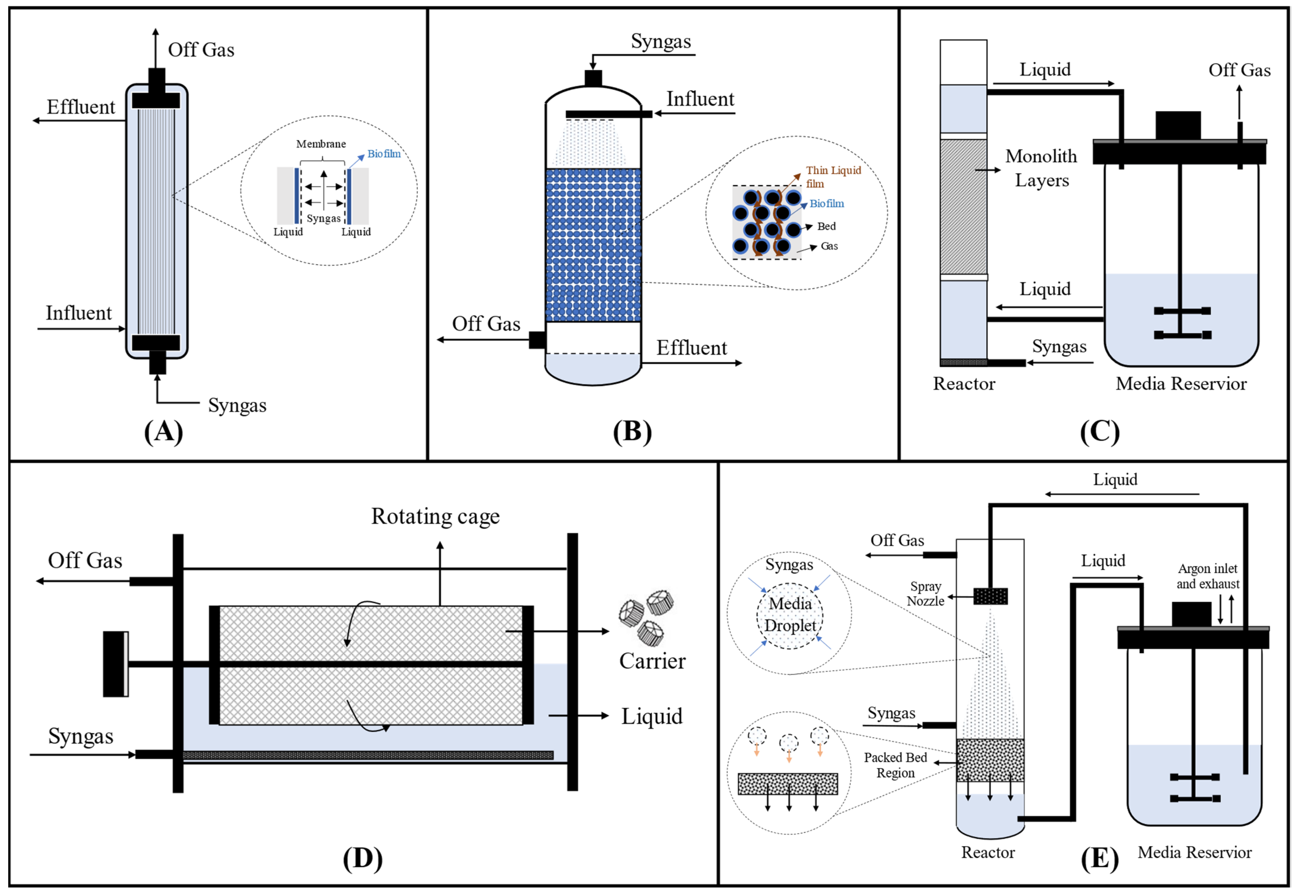 Acetate Production from Syngas Produced from Lignocellulosic Biomass ...