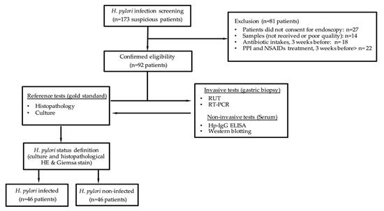 Diagnostic Testing Accuracy for Helicobacter pylori Infection among ...