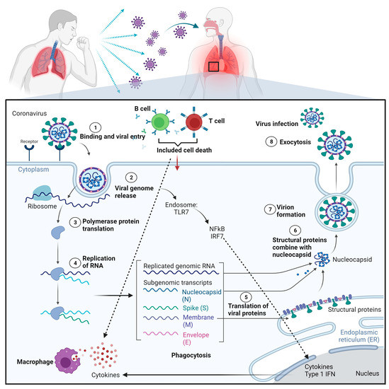 Microorganisms | Free Full-Text | Phytochemicals of Withania somnifera ...