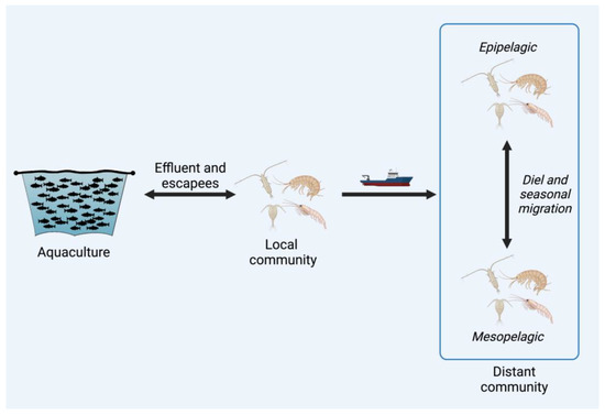 Pathogens and Passengers: Roles for Crustacean Zooplankton Viruses in ...