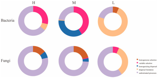 Structural Characteristics and Assembly Mechanisms of Soil Microbial ...
